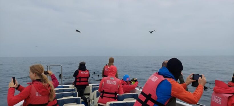 Paracas: Ballestas Island & Nature Reserve all inclusive - FAQ