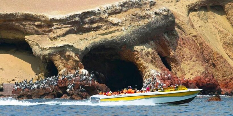 Paracas: Ballestas Islands Boat tour - Islas Ballestas - Practical Details and Tips