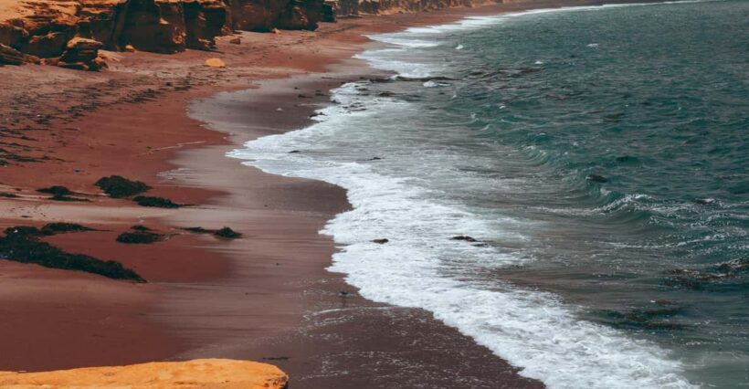 Paracas: Ballestas Islands Boat tour - Islas Ballestas - Who Will Love This Tour?