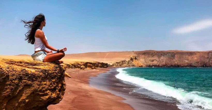 Paracas : Ballestas Islands & Paracas Reserve - Full Day - Who Is This Tour Best For?