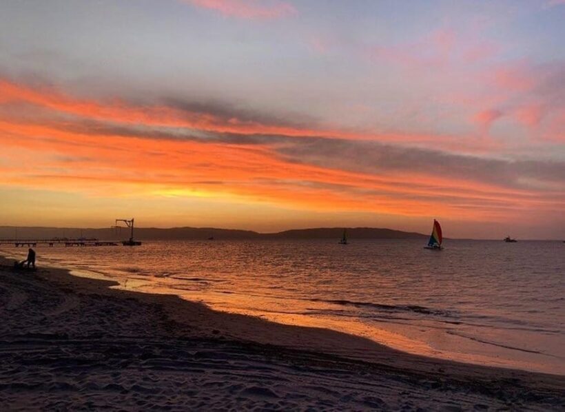 Paracas Bay Catamaran Adventure - Key Points