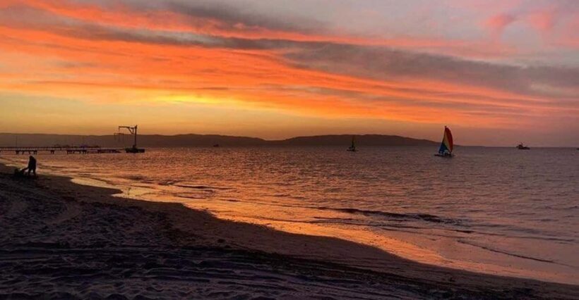 Paracas Bay Catamaran Adventure - What to Expect on the Tour