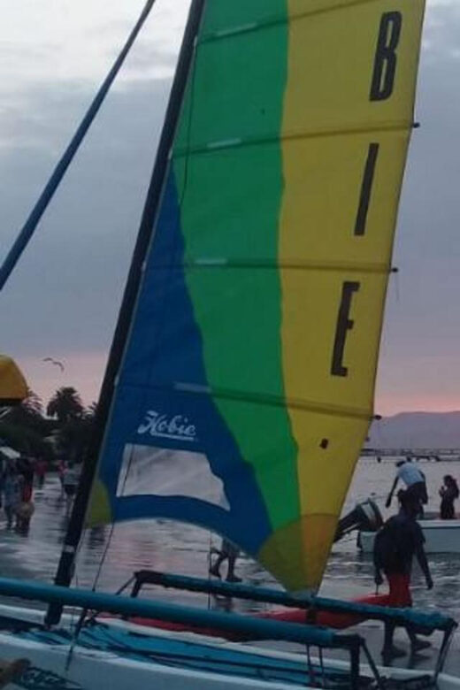 Paracas Bay Catamaran Adventure - Considerations Before Booking