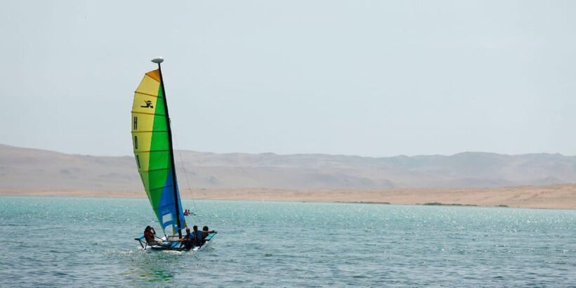 Paracas Bay Catamaran Adventure - The Sum Up: Who Is This Tour Best For?