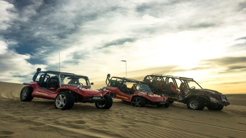Paracas: Buggy and Sandboard Adventure - Who Will Love This Experience?