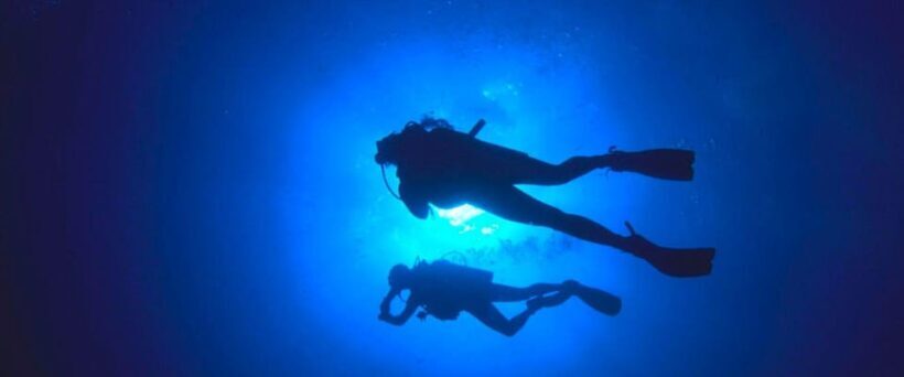 Paracas: Diving - Dive into the sea - Is This Tour Worth It?