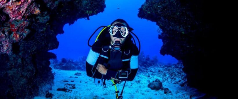 Paracas: Diving - Dive into the sea - Who Should Consider This Experience?