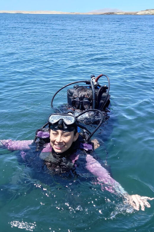 Paracas: Diving - Dive into the sea - The Sum Up