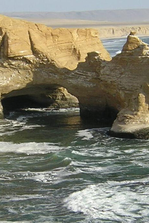 Paracas National Reserve Tour - Practical Details and Value