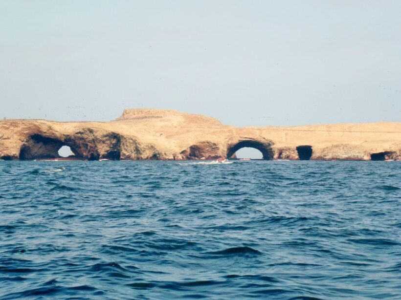 Paracas: Short excursion to Ballestas Island | Sea lions | - Exploring the Tour in Detail