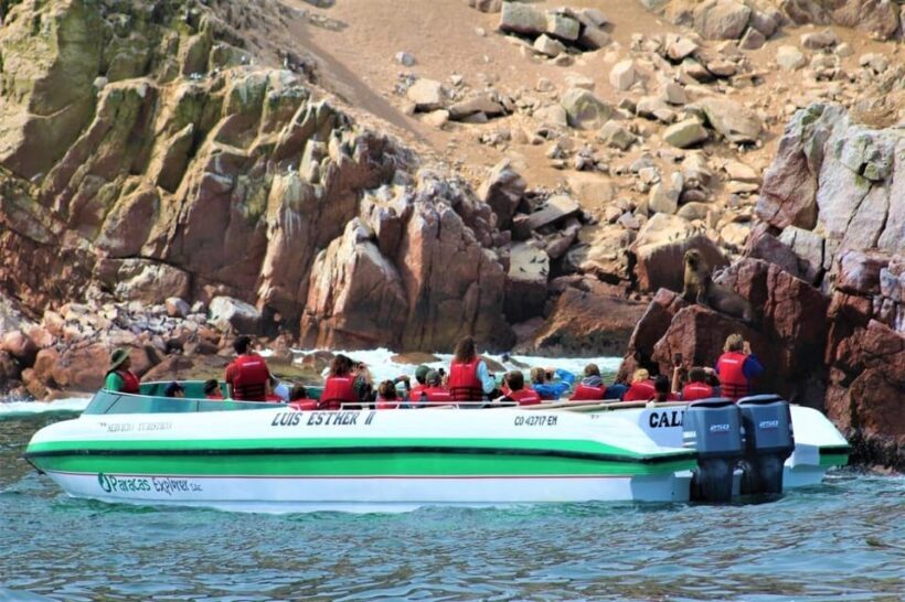Paracas: speedboat BALLESTAS ISLANDS TOUR - What’s Included and What’s Not
