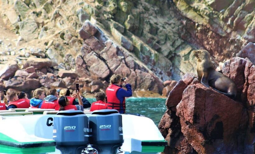 Paracas: speedboat BALLESTAS ISLANDS TOUR - The Practicalities: Booking, Timing, and Tips
