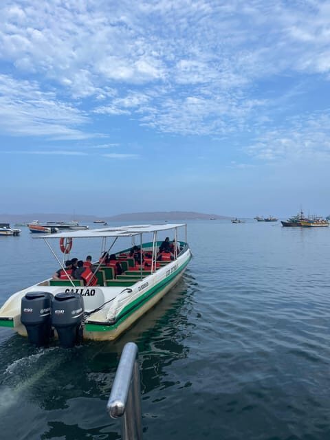 Paracas: speedboat BALLESTAS ISLANDS TOUR - Authentic Experiences and Traveler Insights