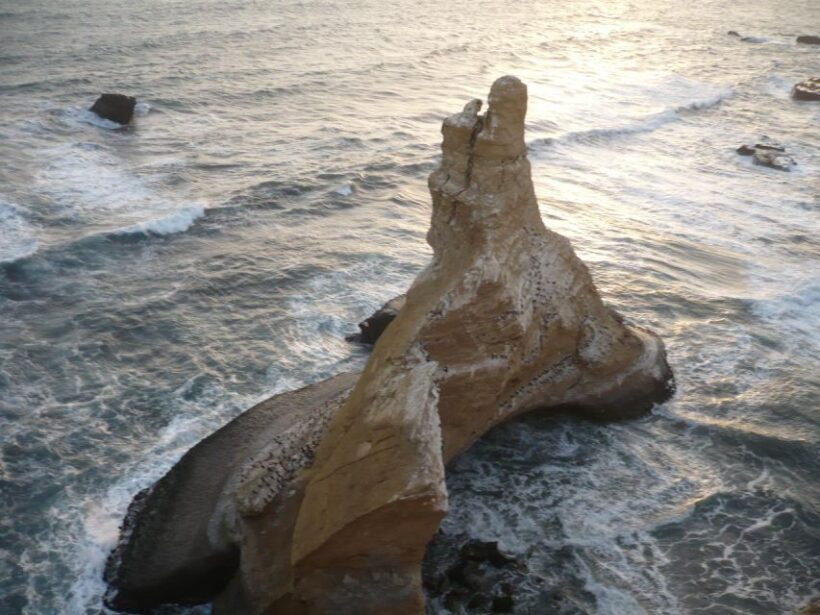 Paracas:Private Tours Paracas National Reserve all inclusive - FAQs