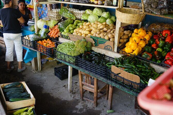 Parachute Experience in Puerto Vallarta - The Value of This Experience