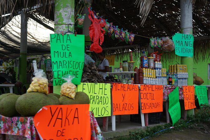 Parachute Experience in Puerto Vallarta - Concluding Thoughts