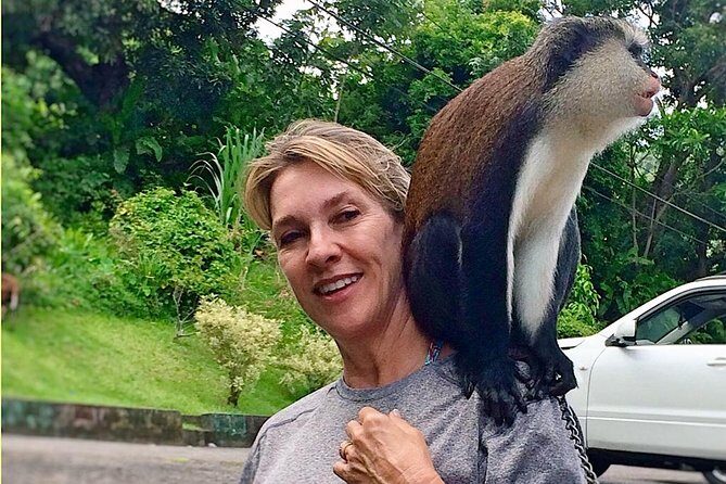 Paradise Cascades: Discover Grenada's Majestic Waterfalls Tour - The Sum Up: Who Should Consider This Tour?