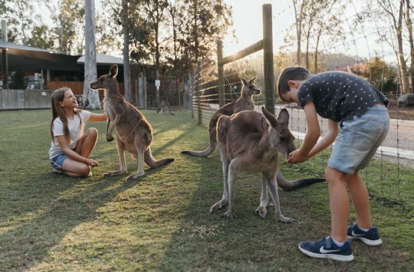 Paradise Country: Ultimate Aussie Farm Experience - Final Thoughts