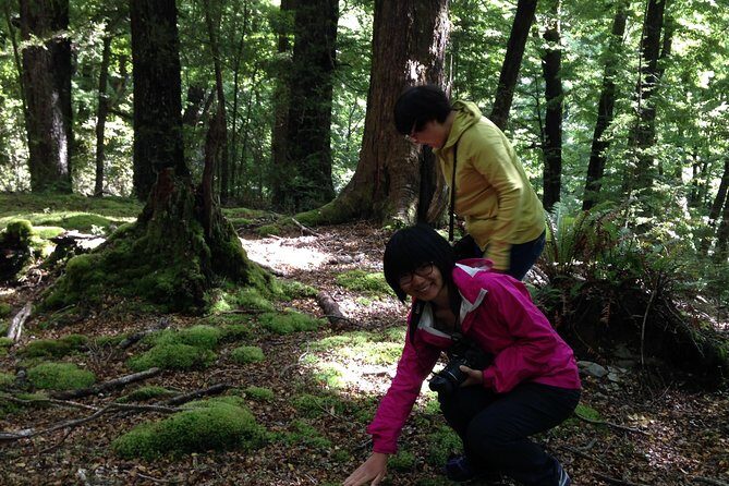 Paradise Day Walks - Discovering Queenstown’s Natural Gems