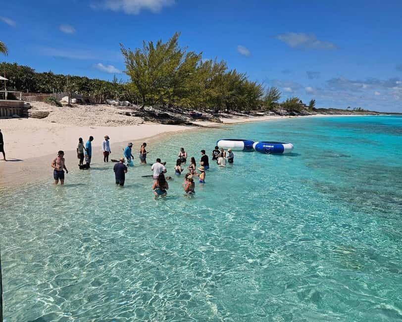 Paradise Found In Hog Haven: Ultimate Beach Escape - An In-Depth Look at the Ultimate Beach Escape Tour