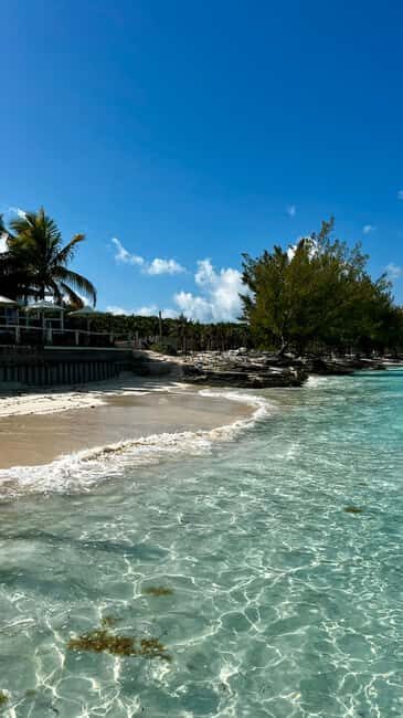 Paradise Found In Hog Haven: Ultimate Beach Escape - FAQs