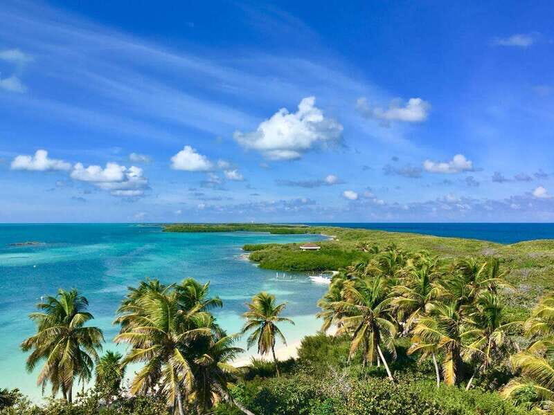 PARADISE ISLAND- ISLA CONTOY AND ISLA MUJERES - Isla Contoy: Nature and Birdwatching