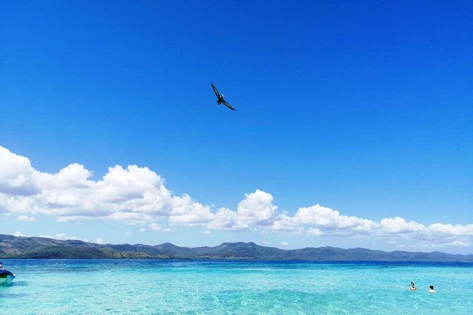 Paradise Island & Mangroves Tour - An In-Depth Look at the Paradise Island & Mangroves Tour