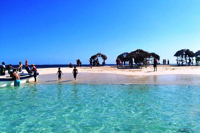 Paradise Island & Mangroves Tour - Authentic Experiences & Real Traveler Insights