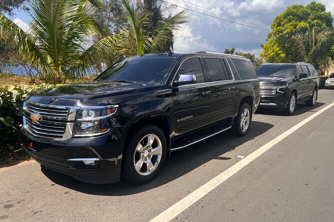 Paradise on Wheels: Suburban Premiere in Punta Cana - Round Trip - An Introduction to the Service
