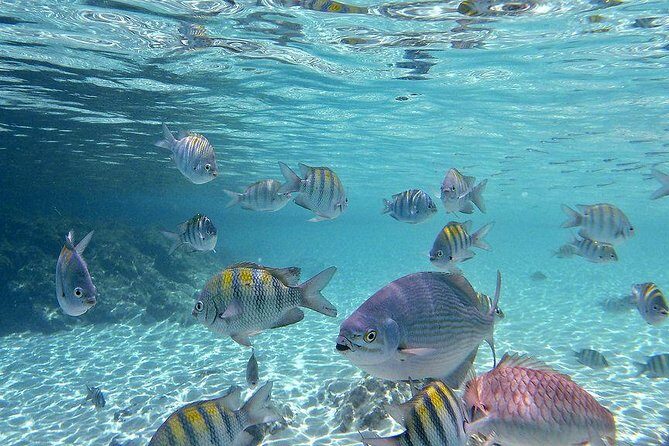 Paradise Taxi & Tours USVI-St Thomas- Airport Transfer Sapphire / Crystal Cove - Smooth Sailing from Arrival to Destination