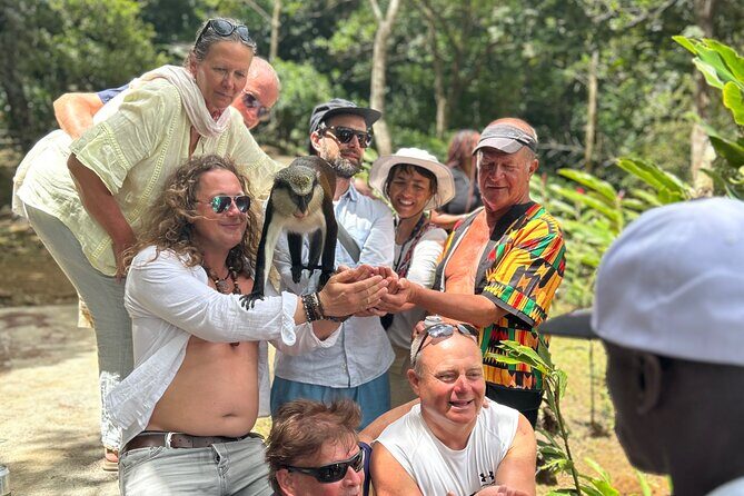 Paradise Unveiled Full Day Island Escape - What to Expect from the Paradise Unveiled Full Day Island Escape