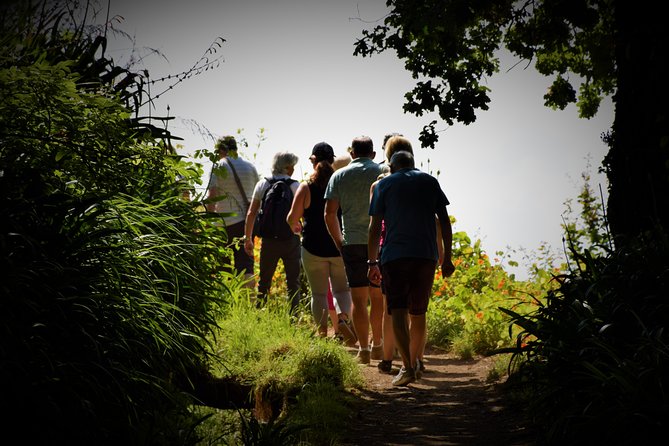 Paradise Valley Beauty Walk - The Experience on the Ground