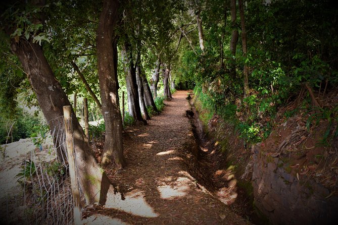 Paradise Valley Beauty Walk - Who Will Love This Tour?