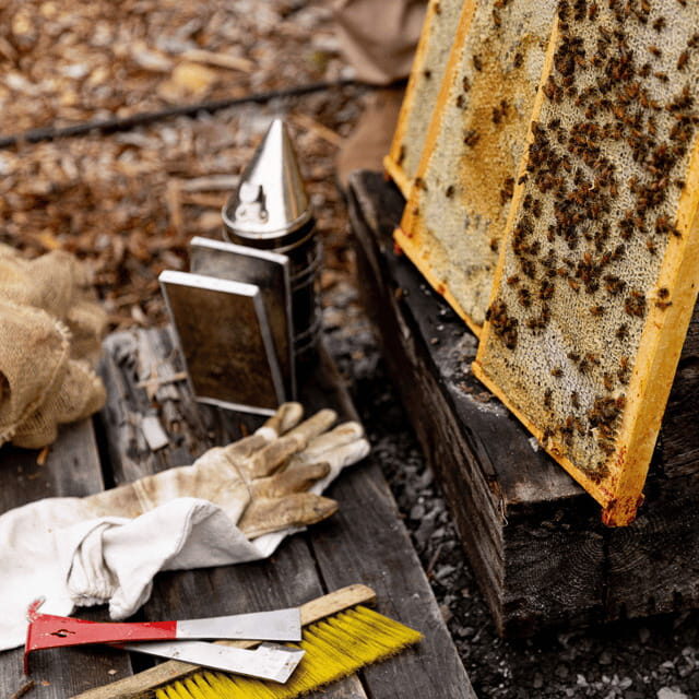 Paradise Valley: Bee Adventure Tour! - The Sum Up