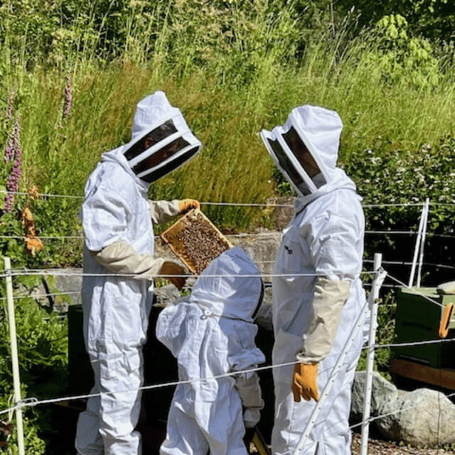 Paradise Valley: Bee Adventure Tour! - FAQs