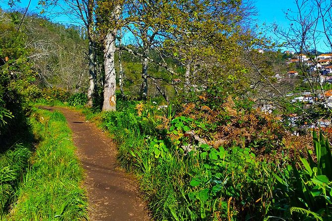 Paradise Valley - Levada Walk - Whats Included in the Tour