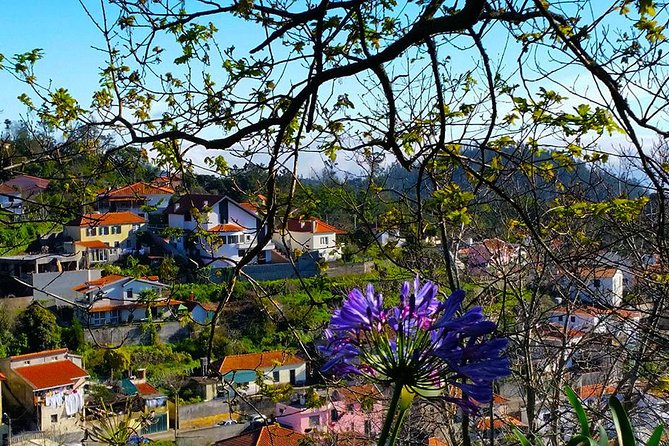 Paradise Valley - Levada Walk - Requirements for Participants