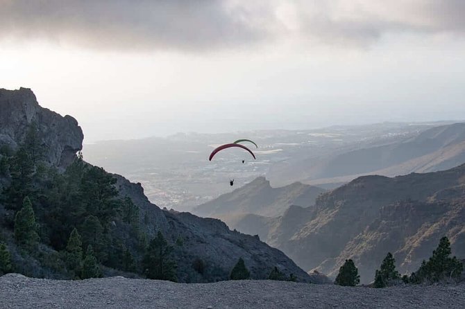 Paragliding Tandem - Genuine Insights from Past Travelers