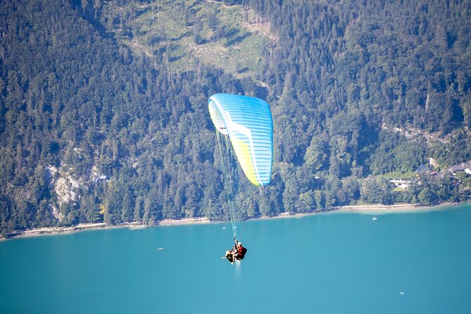 Paragliding tandem flight in St. Gilgen on Lake Wolfgang - What’s Included and What to Keep in Mind
