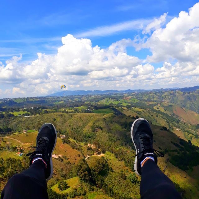 Paragliding Trip with Certified Pilots + Transportation - The Dive Into the Itinerary