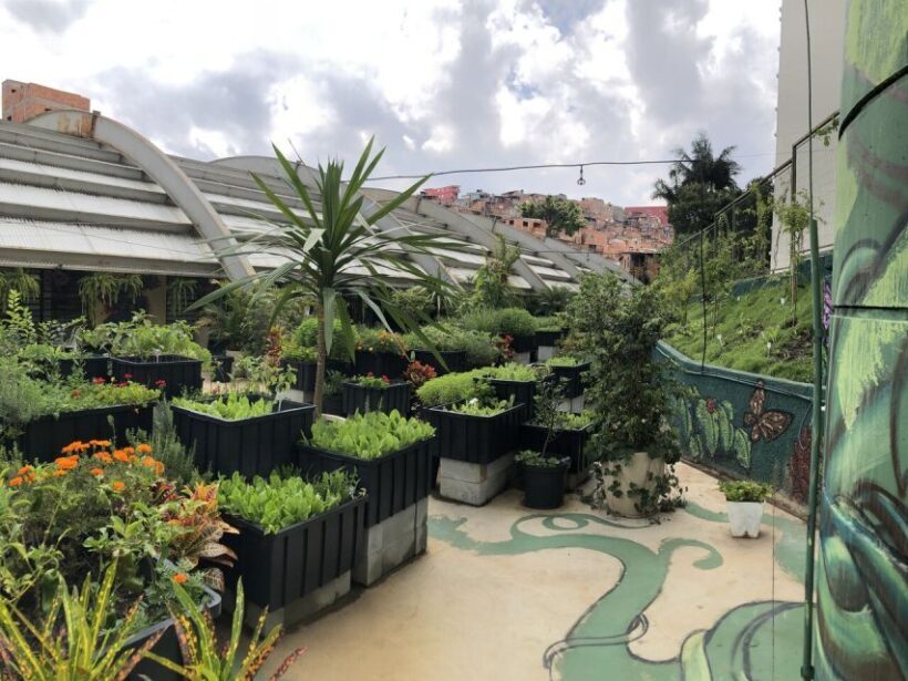 Paraisópolis: São Paulo's Vibrant Favela & Its Hidden Artist - The Experience from a Traveler’s Perspective