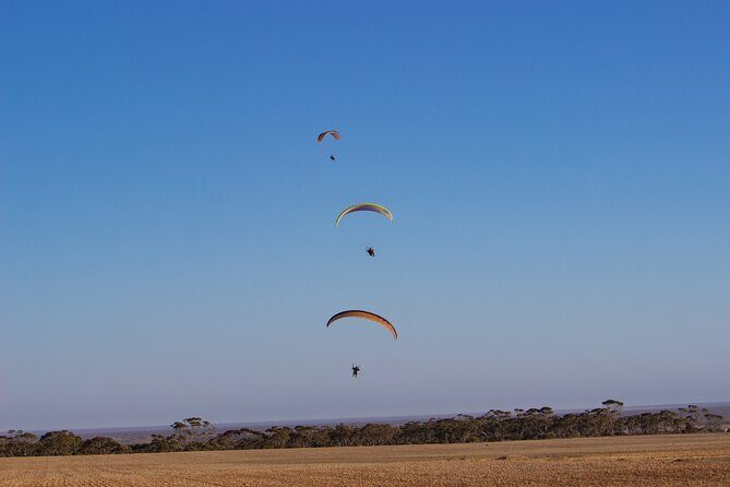 Paramotoring Experience from Bentota - Final Thoughts