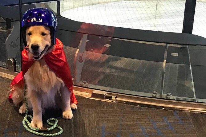 Paramus Indoor Skydiving Experience with 2 Flights & Personalized Certificate - Practical Tips for Your Visit