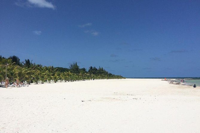 Parasailing in Playa del Carmen with transfer - Analyzing the Value