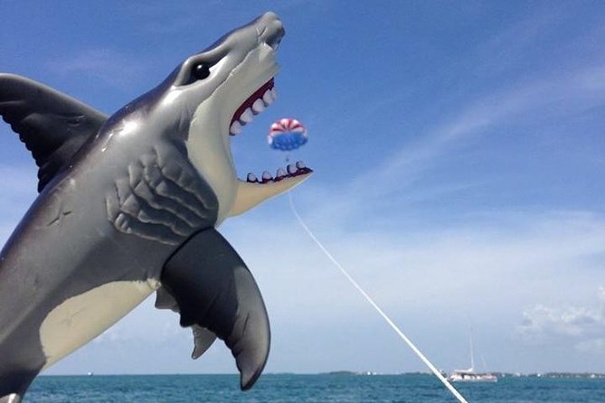 Parasailing over the Historic Key West Seaport - Who Should Consider This Tour?