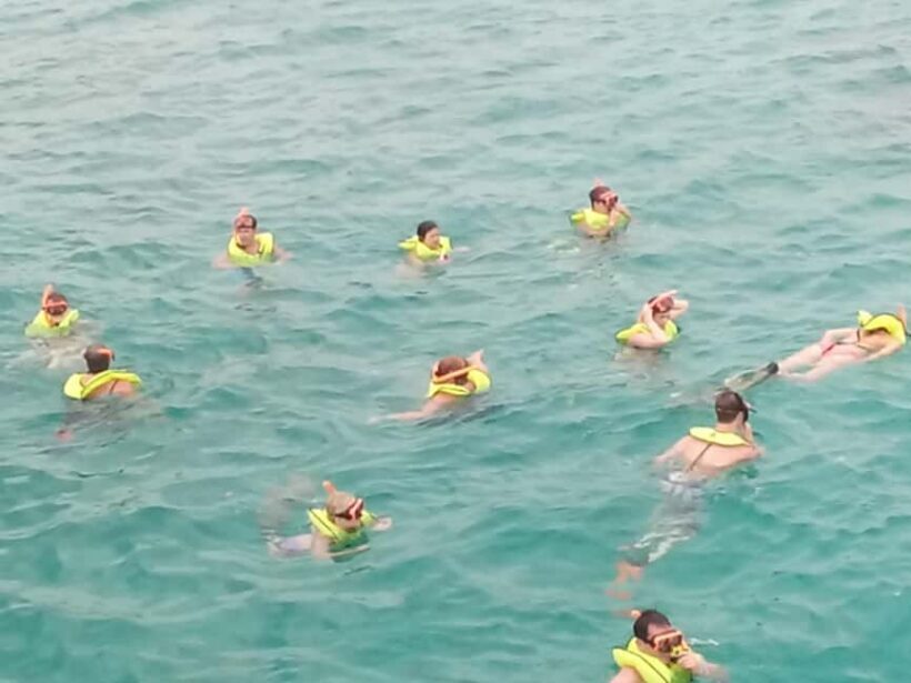 Parasailing + Reef Snorkeling Combo  Negril Watersport - An In-Depth Look at the Tour