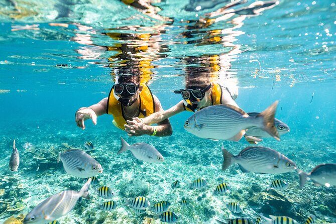 Parasailingcancun and Jet Ski tour over Cancun Bay - Who Will Love This Tour?