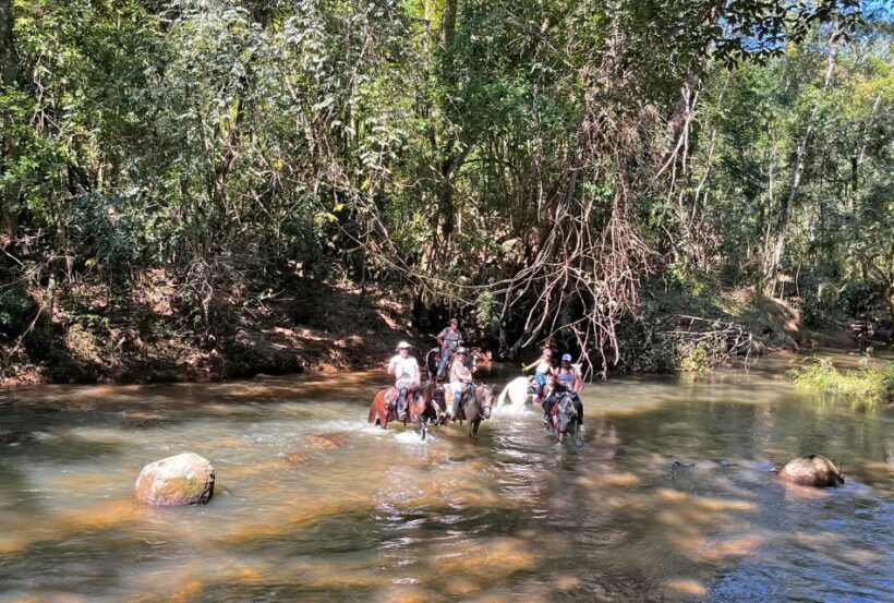 Paraty: 3-Hour Rainforest Horseback Ride - Exploring Paraty on Horseback: A 3-Hour Rainforest Adventure