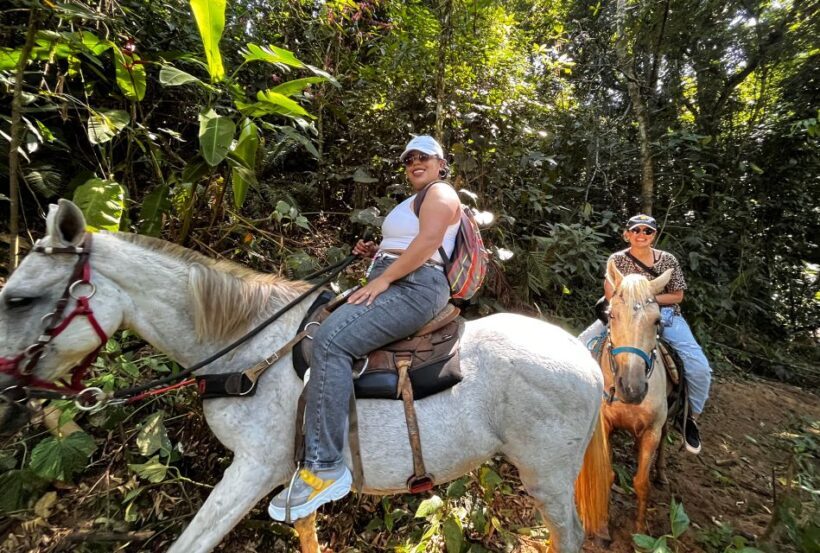 Paraty: 3-Hour Rainforest Horseback Ride - FAQ