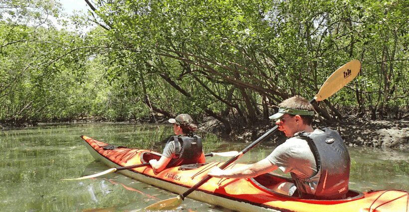 Paraty Bay: Half-Day Mangroves and Beaches Tour by Kayak - Key Points